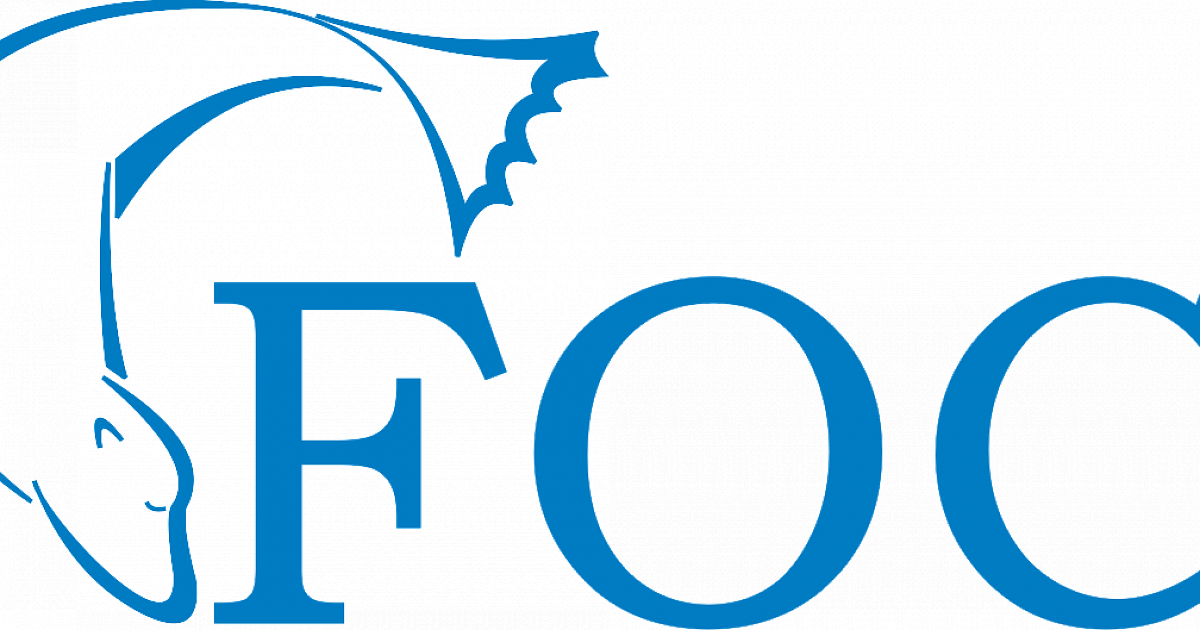 Foca - производитель сантехники